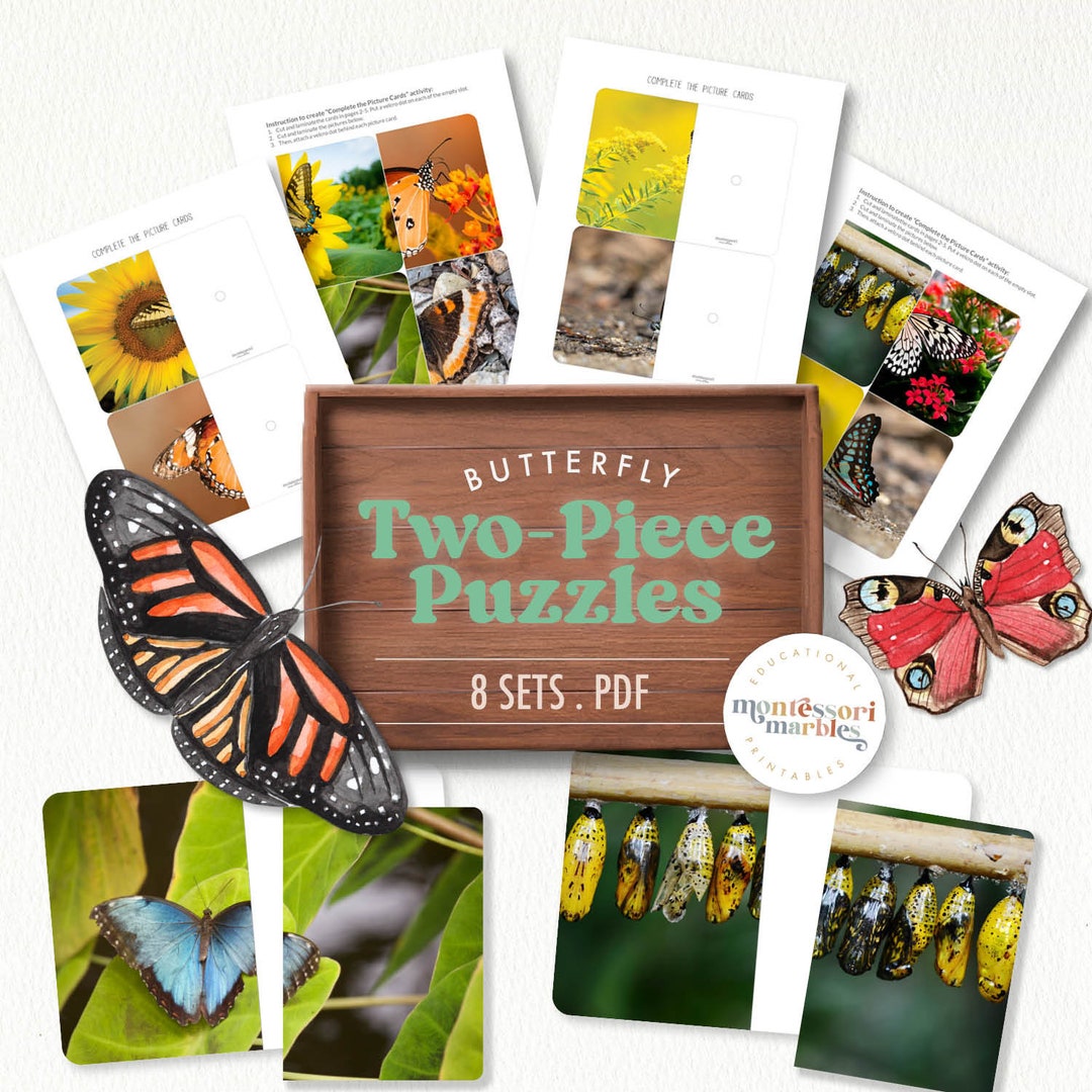 BUTTERFLY Montessori Picture Matching Activity, Toddlers Matching Game ...