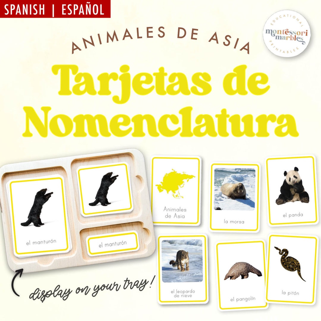Montessori Animals of Asia Nomenclature Cards - Spanish (digital ...