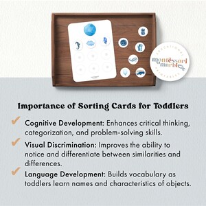 PRIMARY COLORS Sorting Cards, Montessori Inspired Activities, Preschool ...
