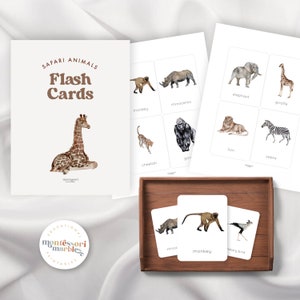 SAFARI ANIMALS Mini Bundle | 4 Sensory and Fine Motor Activities for ...