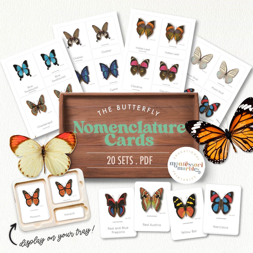 BUTTERFLY Montessori Nomenclature Cards Types of Butterflies Spring ...