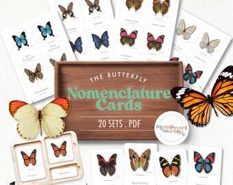 Parts of a Ladybug Nomenclature 3-part Cards Montessori Zoology ...