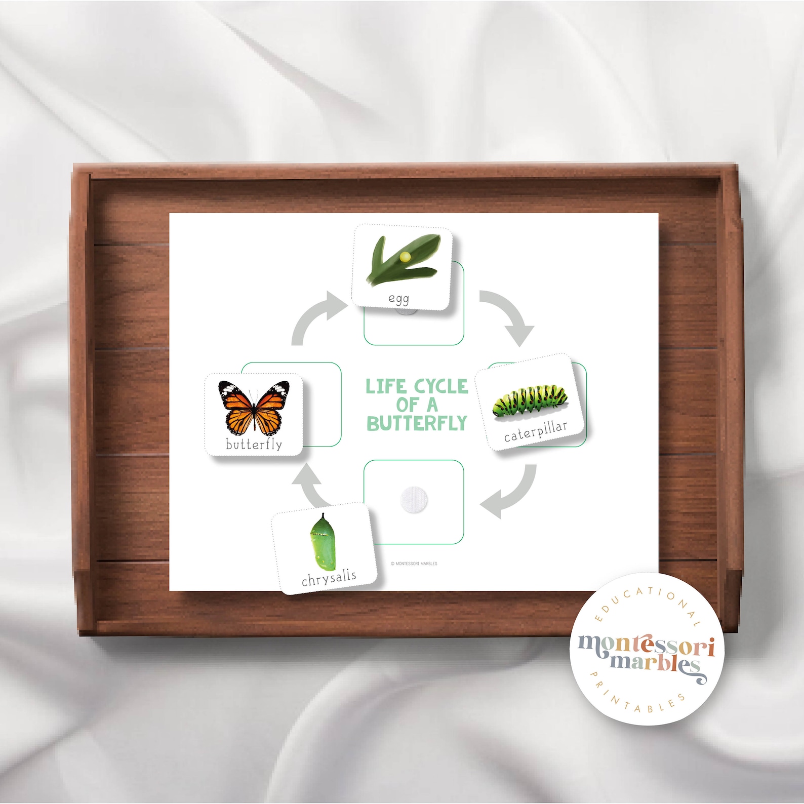 Butterfly Life Cycle 3-part Cards | Montessori Science | Sequencing ...