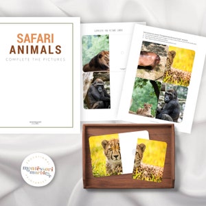 SAFARI ANIMALS Mini Bundle | 4 Sensory and Fine Motor Activities for ...
