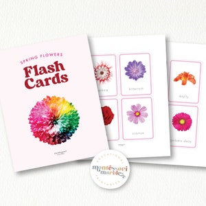 Spring Flowers Flash Cards: Montessori Vocabulary (printable) - Etsy