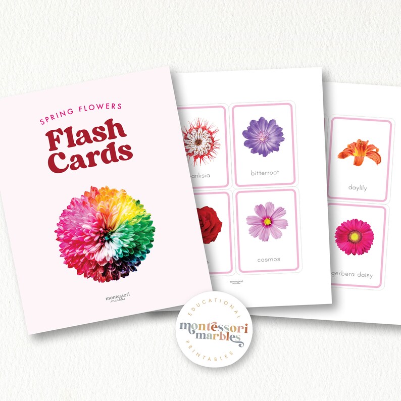 Spring Flowers Flash Cards | Montessori Science | Nature Vocabulary ...