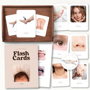 Human Body Parts Flash Cards | Montessori Homeschool Anatomy Printable ...