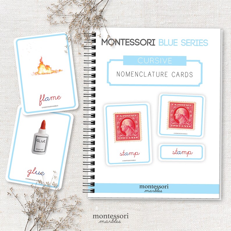 CURSIVE MONTESSORI BLUE Series Montessori Nomenclature Cards | Etsy