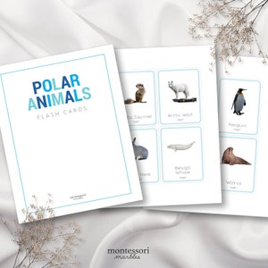 Arctic Animals Flash Cards: Montessori Homeschool Printable (digital ...