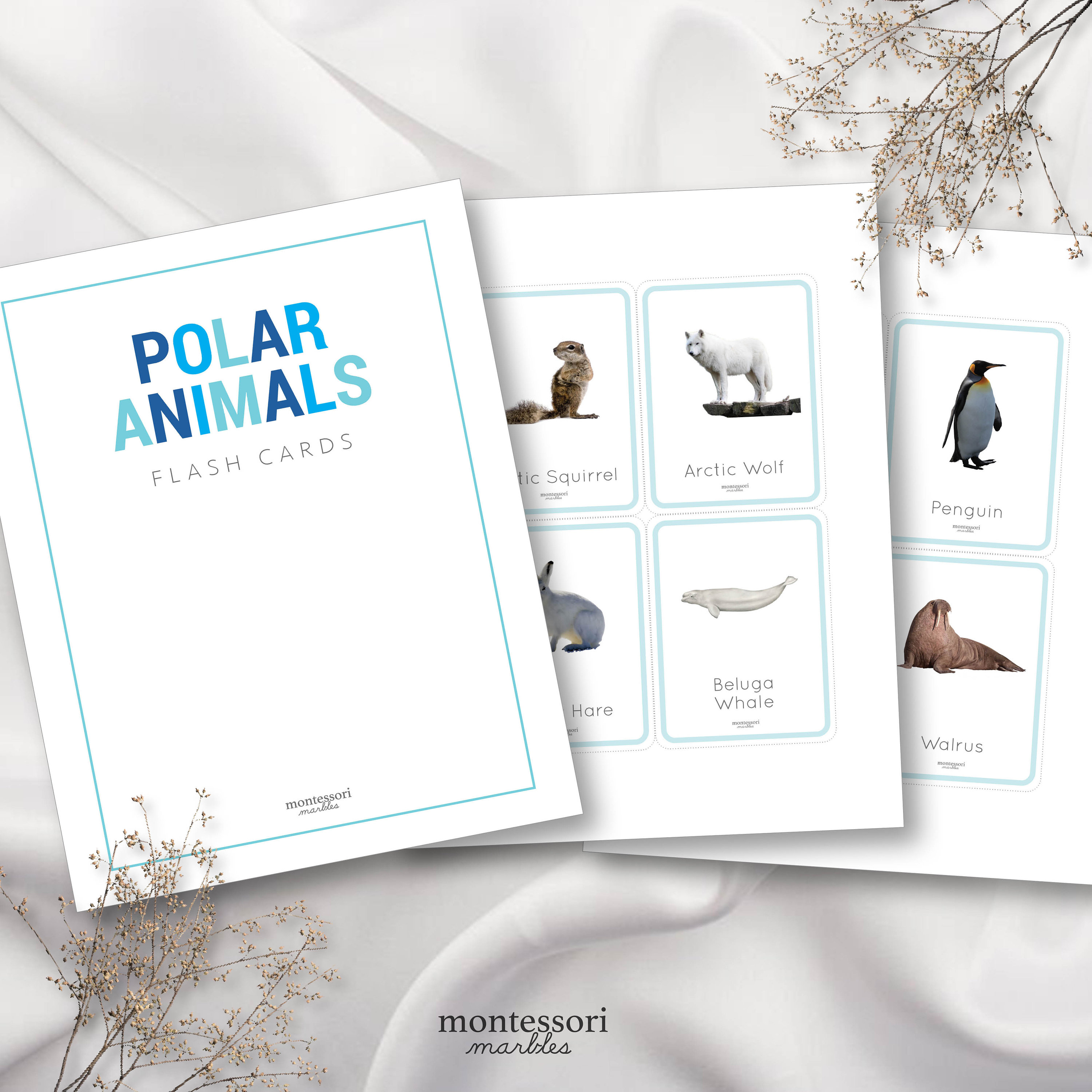 Scheda flash POLAR ANIMALS Montessori, animali artici, animali ...