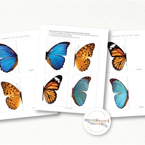 BUTTERFLY Symmetry Puzzles | Montessori Inspired Visual Activity ...