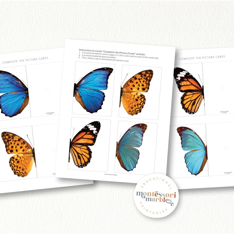 Butterfly Symmetry Puzzles | Montessori Visual Discrimination | Spring ...