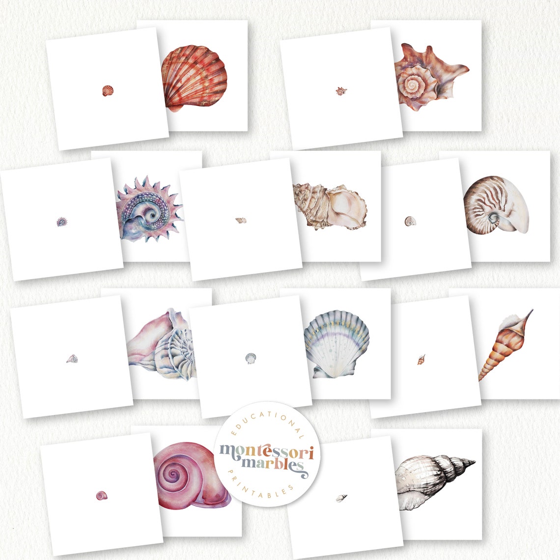SEASHELLS Mini Bundle for Preschool & Kindergarten Age 2-4 Years Old ...