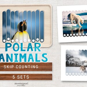 POLAR ANIMALS Skip Counting Craft Stick Puzzles Jumbo Craft - Etsy