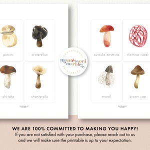 MUSHROOM Flash Cards | Montessori Inspired Fall Autumn Vocabulary ...