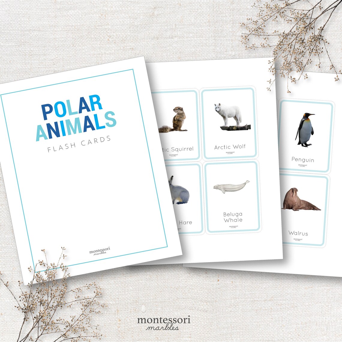 POLAR ANIMALS Flash Card Montessori Arctic Animals Winter | Etsy