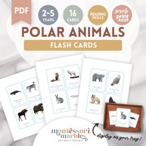 Arctic Animals Flash Cards: Montessori Homeschool Printable (digital ...