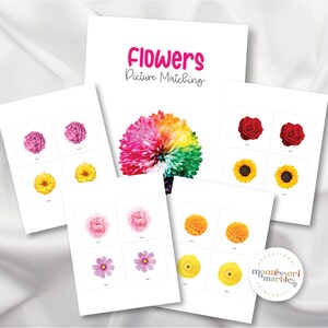 SPRING FLOWERS Matching and Memory Games | Fun Activity for Preschool ...