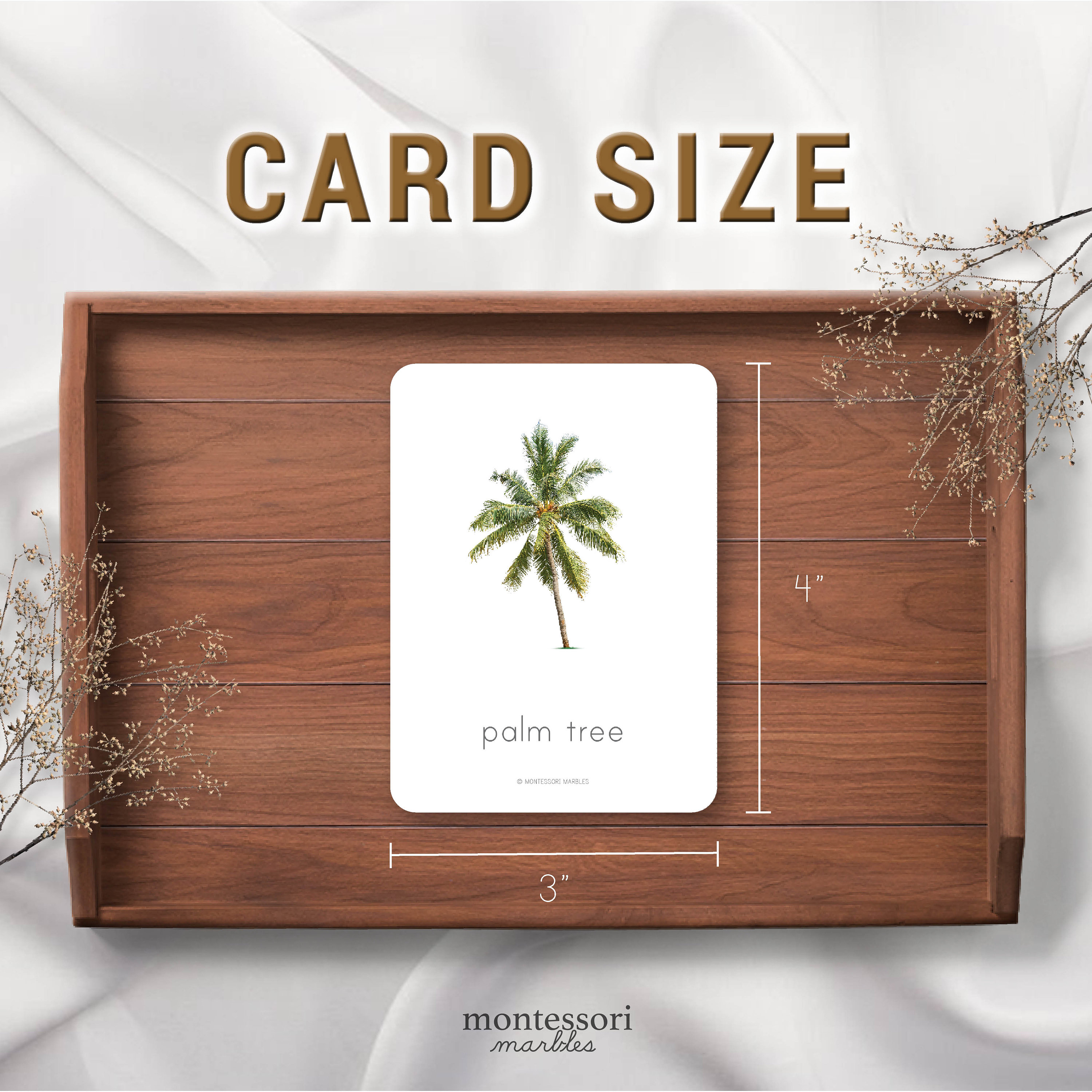SUMMER Flash Cards Summer Vocabulary Builder Montessori Inspired ...