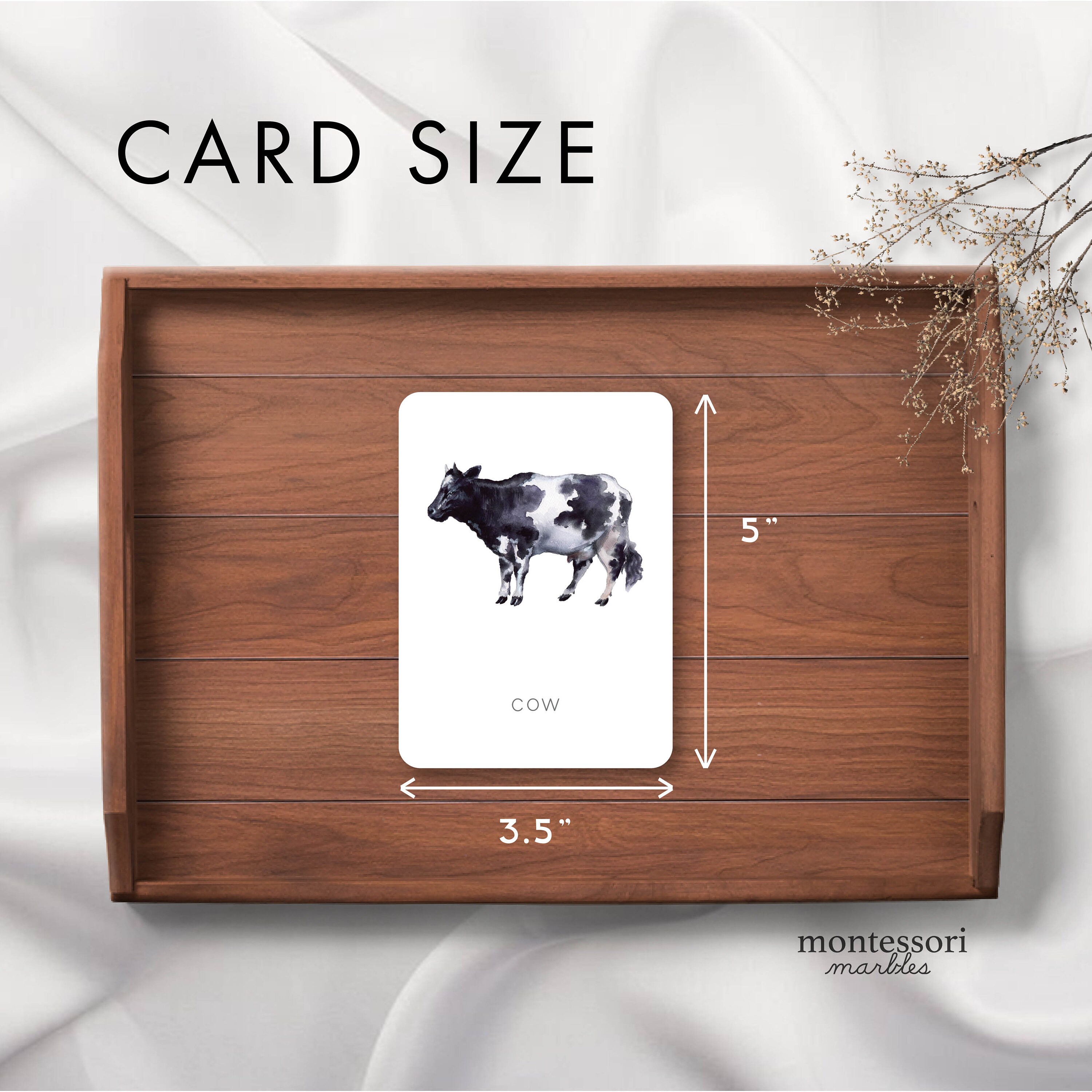 FARM ANIMALS Montessori Nomenclature Cards Montessori - Etsy