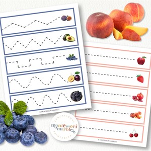 Fruits Cutting Strips Ages 2-5 | Scissors Practice Activities 4 Pages ...