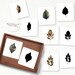 Leaves Shadow Matching Game | Montessori Nature Visual Skills ...