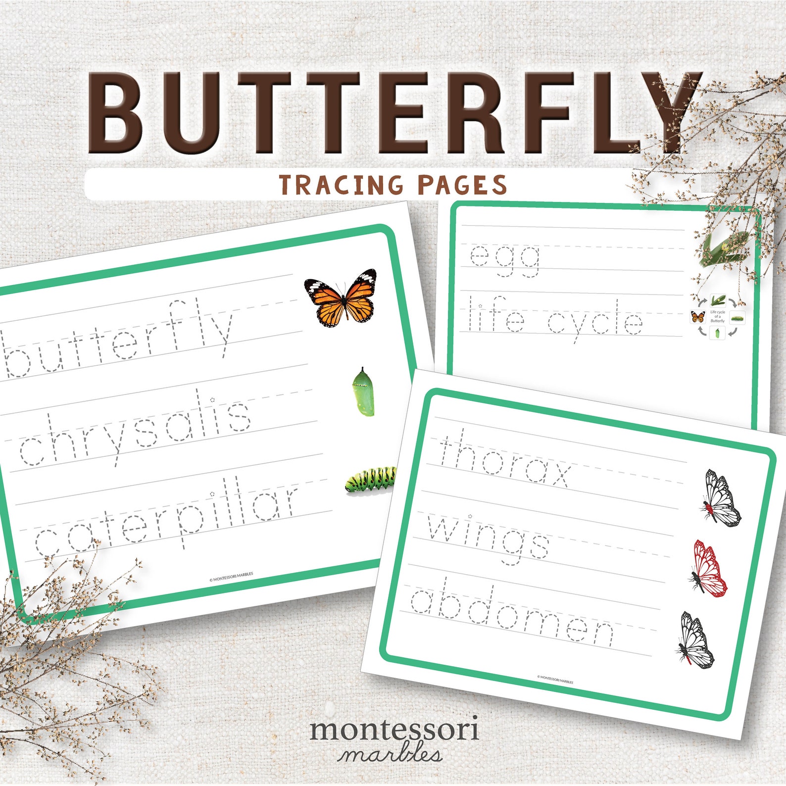 Butterfly Tracing Activities for Preschool and Kindergarten in | Etsy