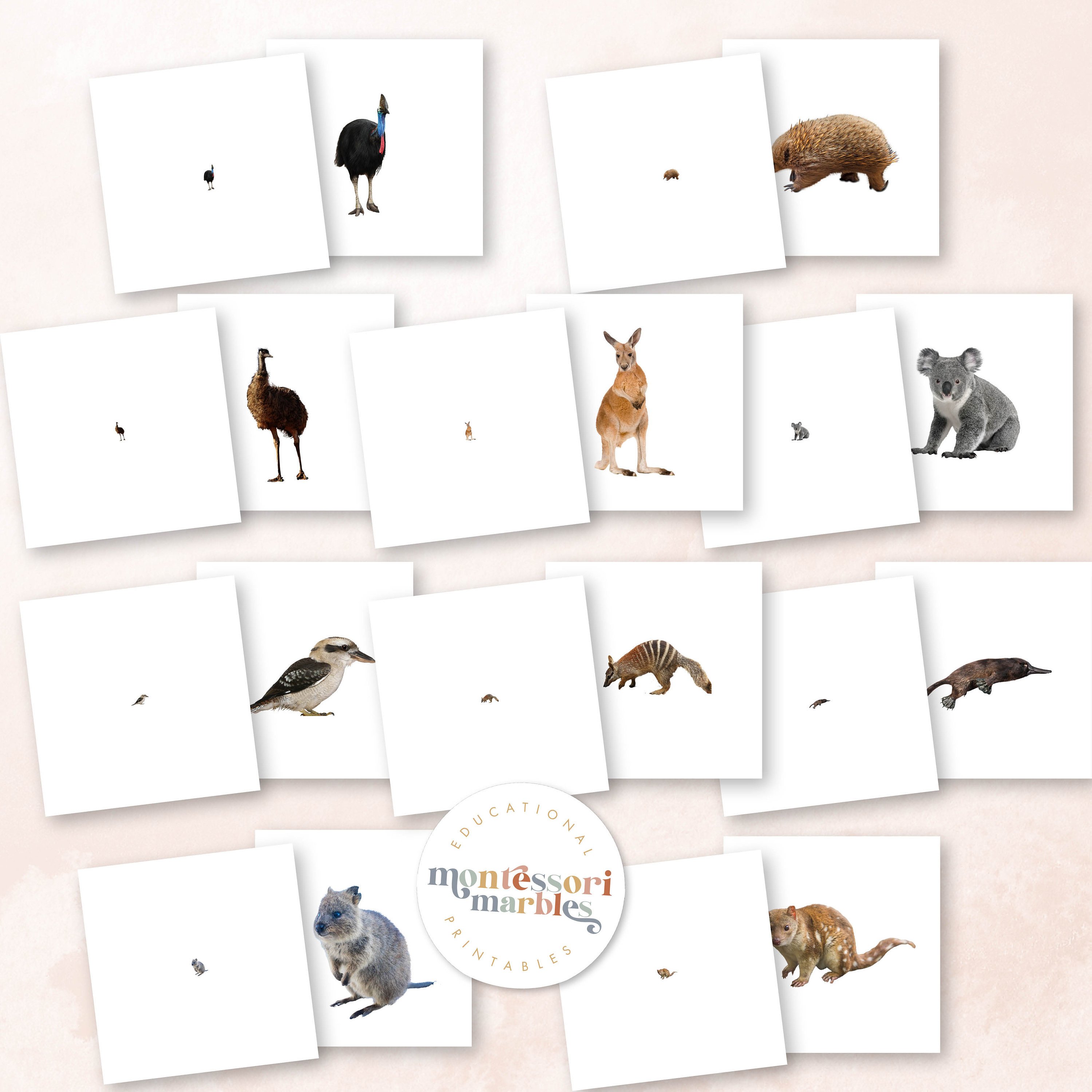 Australian Animals Magnifying Matching Game | Montessori Preschool ...