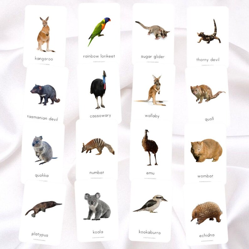 AUSTRALIAN ANIMALS Flash Cards Montessori Inspired Learning - Etsy