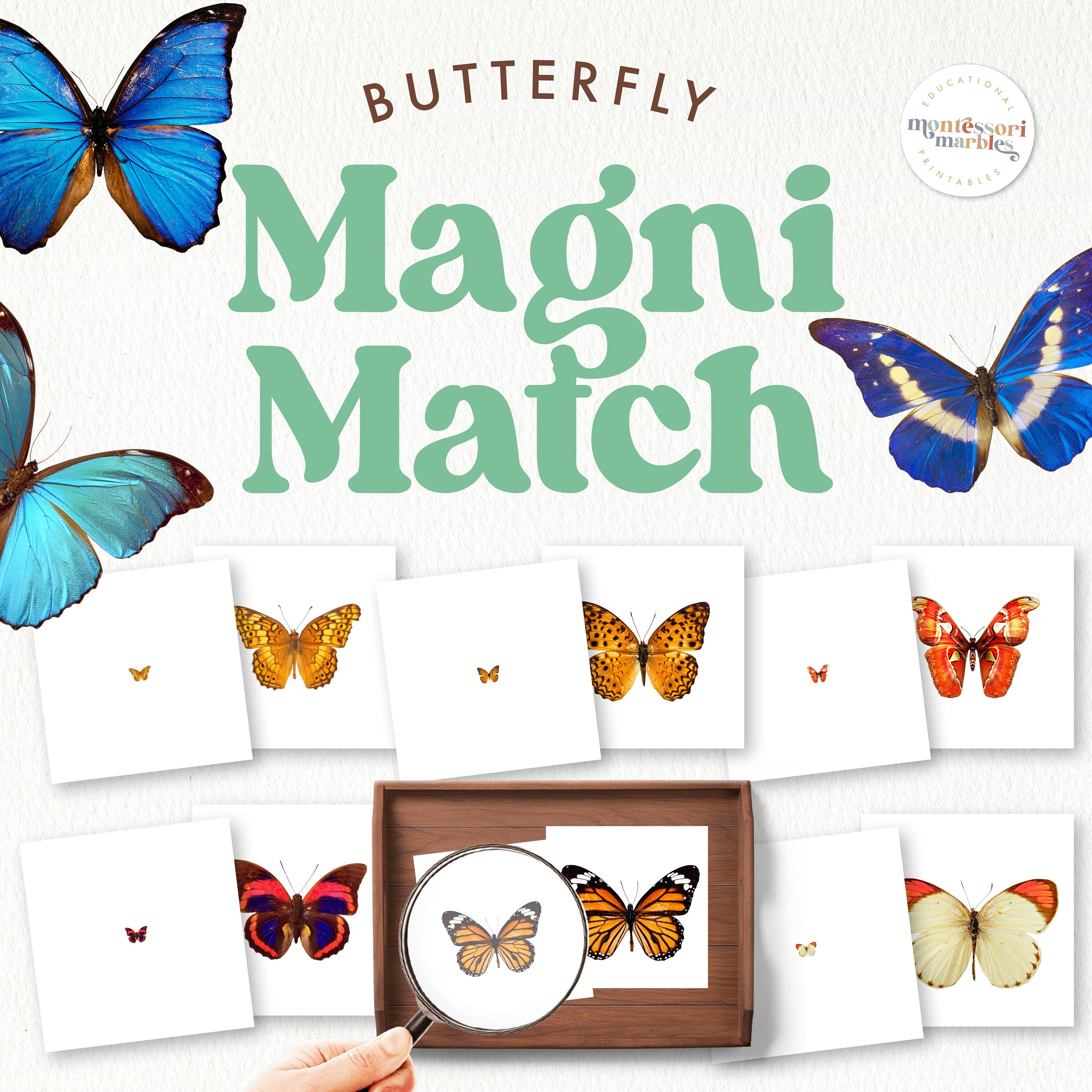 BUTTERFLY Magnifying Matching Game Montessori at Home Using Magnifying ...