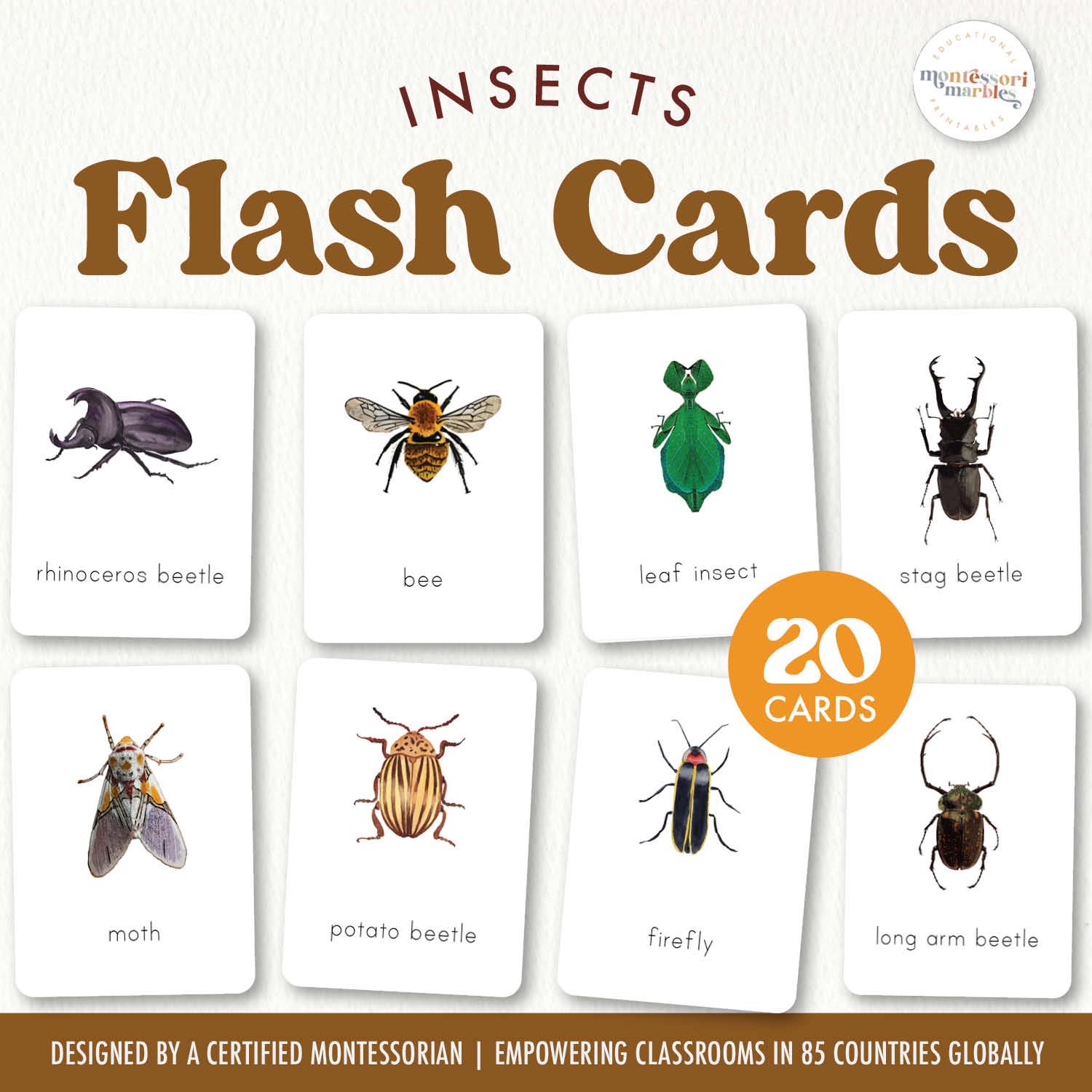 Insects Flash Cards | Montessori Nature Vocabulary Builder | Preschool ...