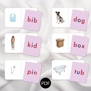 MONTESSORI PINK SERIES Pairing Cards Labelling, Early Reading, Early ...