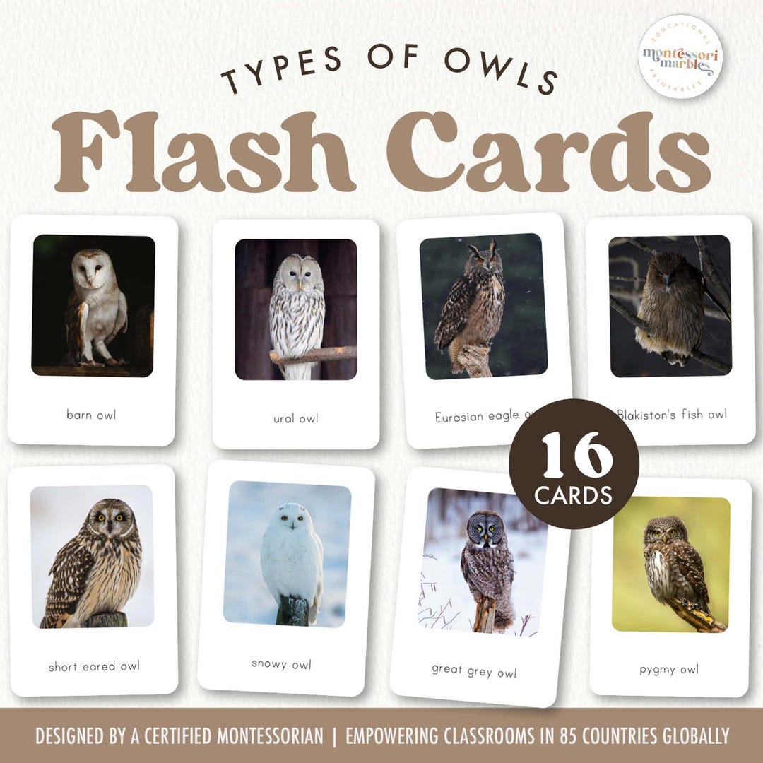 Types of Owls Flash Cards | 16 Owl Species Real Photos Printable Bird ...