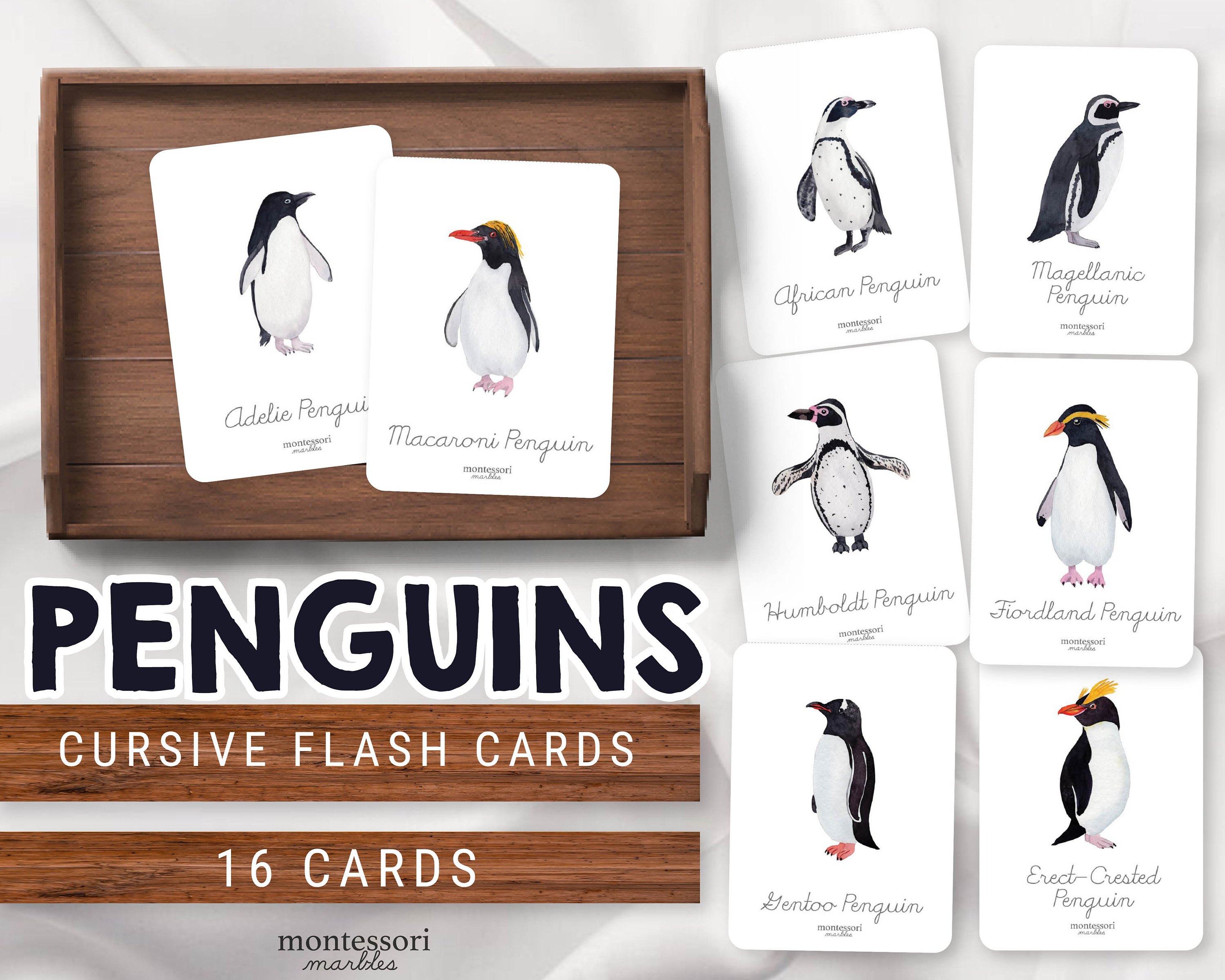 PENGUINS Flash Cards in Cursive Montessori Inspired - Etsy