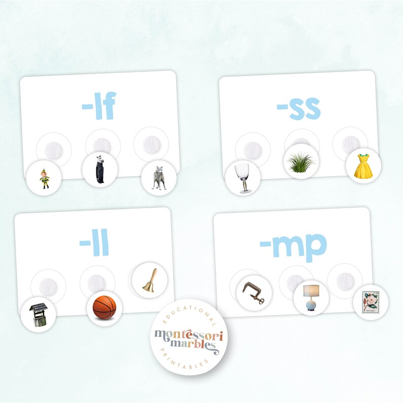 BLUE SERIES Ending Blends Sorting Cards Montessori Language Activity ...