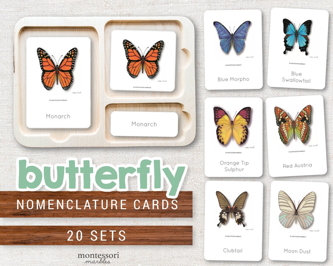 BUTTERFLY Montessori Nomenclature Cards Types of Butterflies - Etsy
