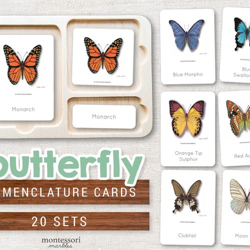 BUTTERFLY Montessori Nomenclature Cards Types of Butterflies - Etsy