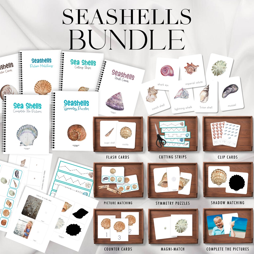 SEASHELLS Activity Bundle Montessori Inspired Resources - Etsy