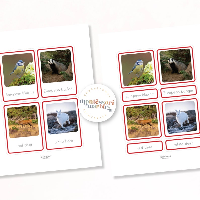 Animals of Europe Cards | Montessori Zoology 3-part Cards | Wildlife ...