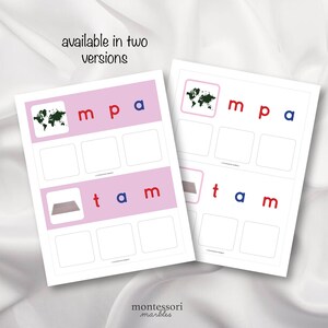 Montessori Pink Series Jumbled Word Cards for Short A - Etsy