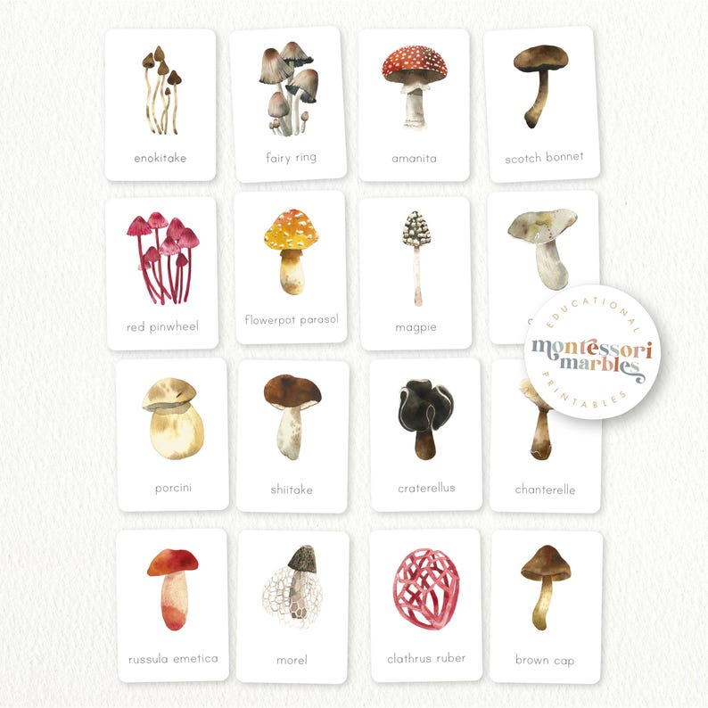 Mushroom Varieties Nomenclature Cards | Montessori Vocabulary Builder ...