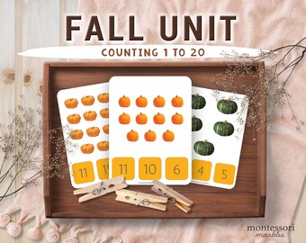 APPLES Counting 1 to 20 Flash Cards Kindergarten Math Learn | Etsy