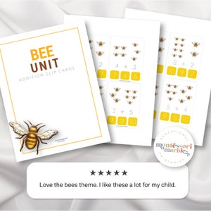 BEE UNIT Addition Clip Cards, Simple Addition for Kindergarten, Prek ...