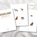ANIMALES DEL BASQUE, Woodland Animals, Spanish Montessori Flash Cards ...