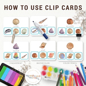 SEASHELLS Mini Bundle for Preschool & Kindergarten Age 2-4 Years Old ...