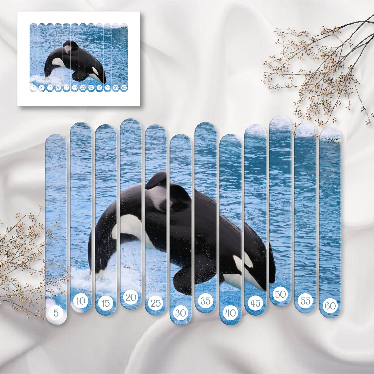 WHALES Skip Counting by 2s, 3s, 5s and 10s, Early Math, Math Puzzles ...