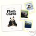 ANIMALS OF ASIA Montessori Nomenclature Cards Nature-based Learning for ...