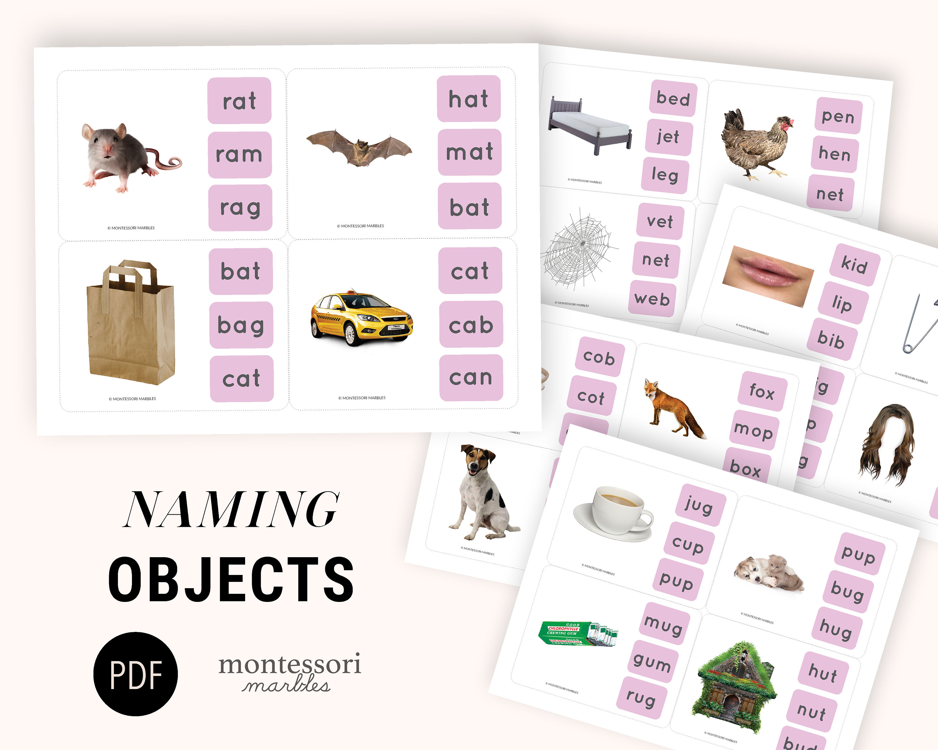 BUNDLE PACK Montessori Pink Series Name the Objects Short - Etsy