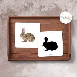 WOODLAND ANIMALS Shadow Matching | Montessori Inspired Silhouette ...