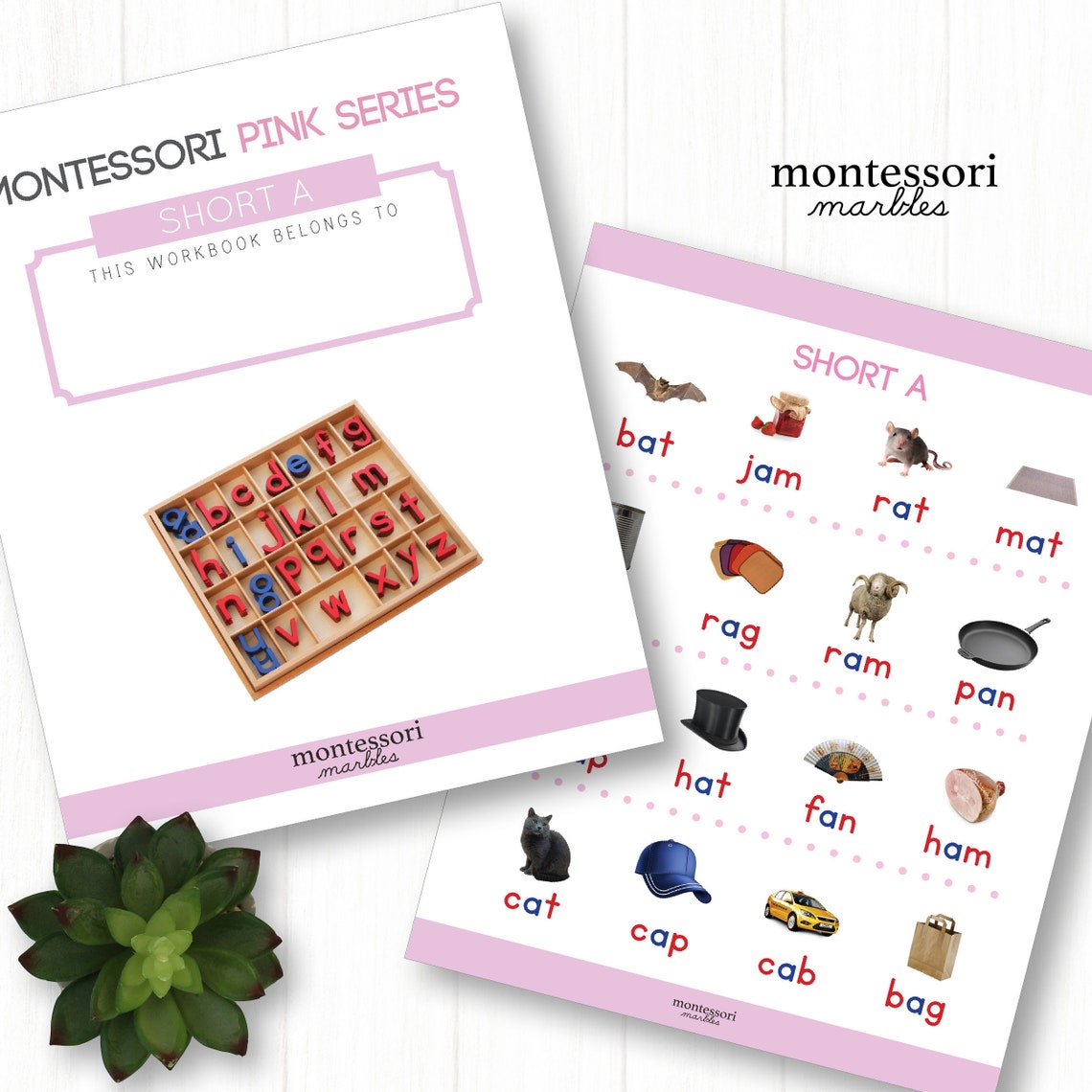 MONTESSORI PINK SERIES Workbook Short A Printable for PreK | Etsy